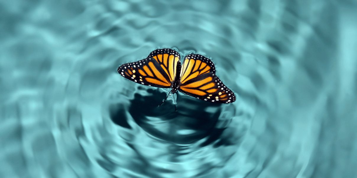 The butterfly effect on Japanese equities