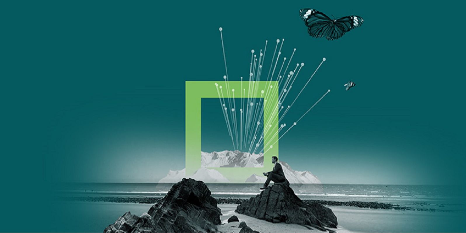 Floating Rate Notes Frn Experience Very Volatile Price Top Sellers ...