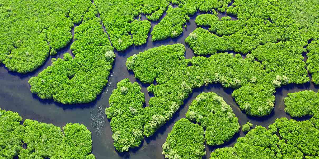 Sustainability: The interconnected challenges