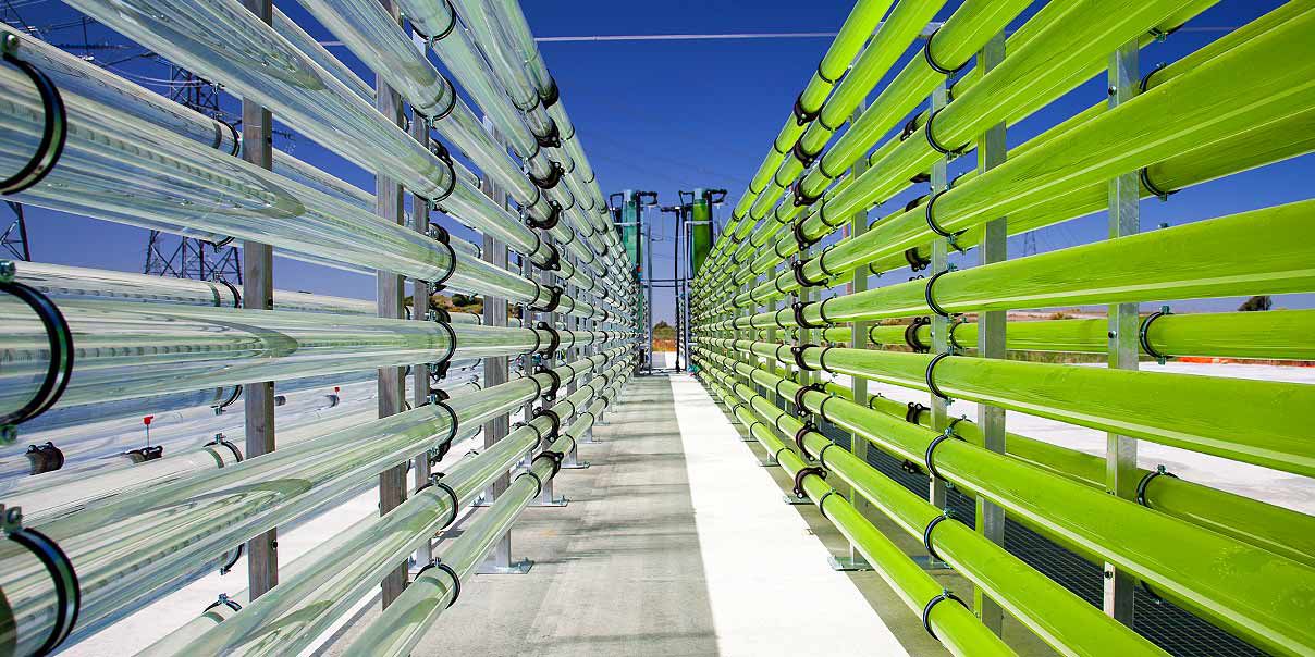 Sustainability: Expanding infrastructure’s parameters